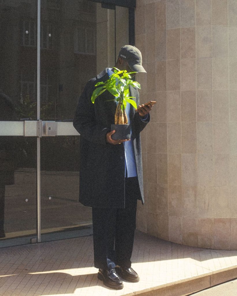 Coltesse | Borasification